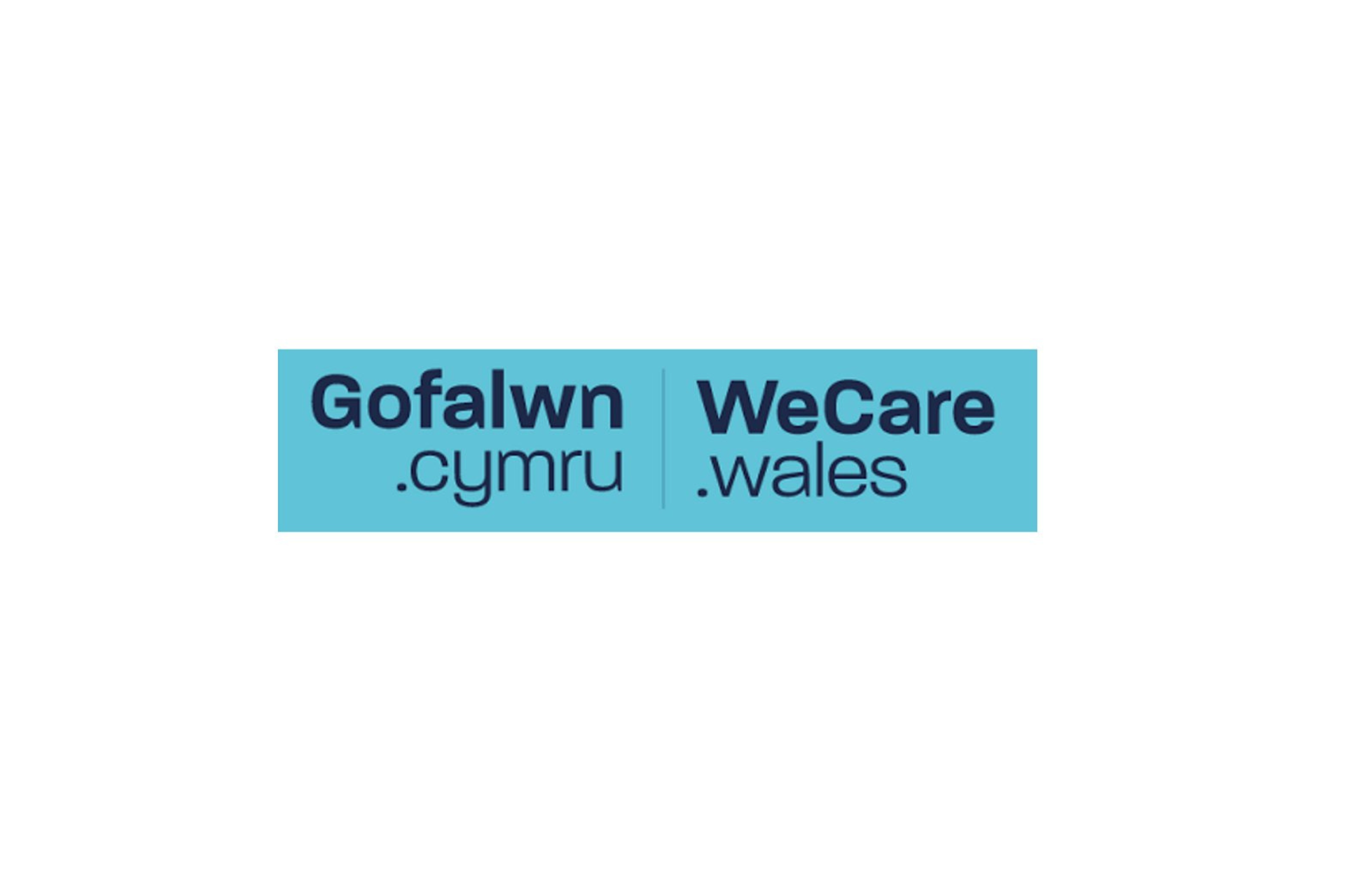Care Assistant